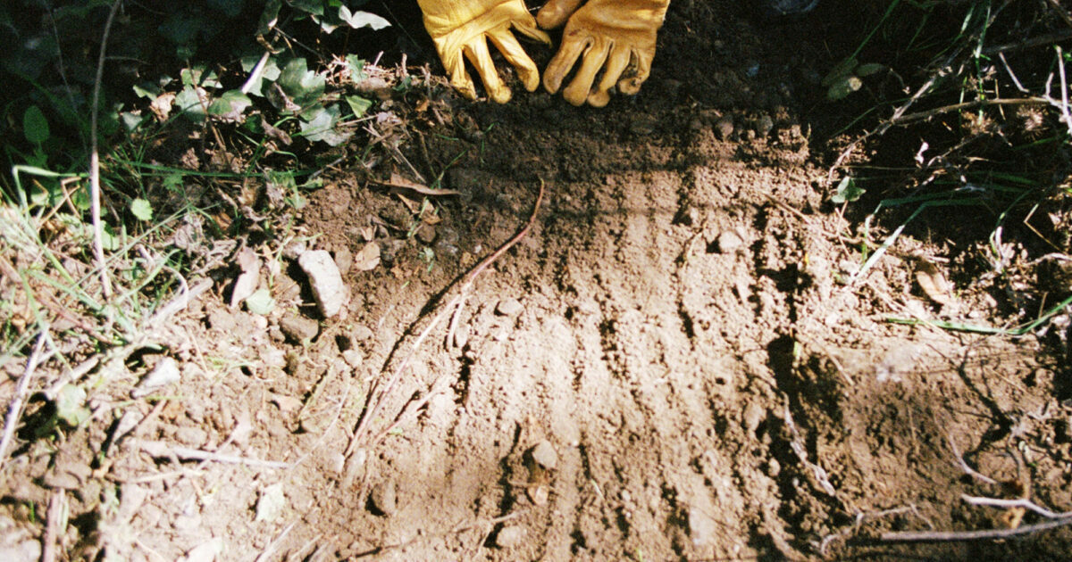 Santa Cruz Mountains Trail Stewardship / A Case Study by Cosmic Santa Cruz Mountains Trail Stewardship / A Case Study by Cosmic
